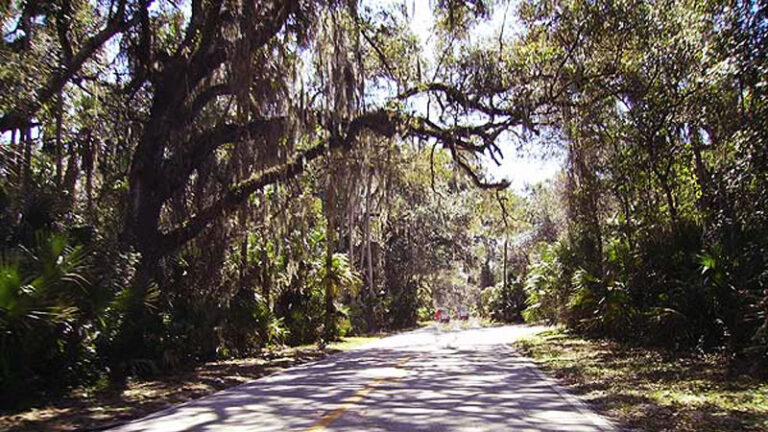 Ormond Scenic Loop & Trail - Passionmoto.com